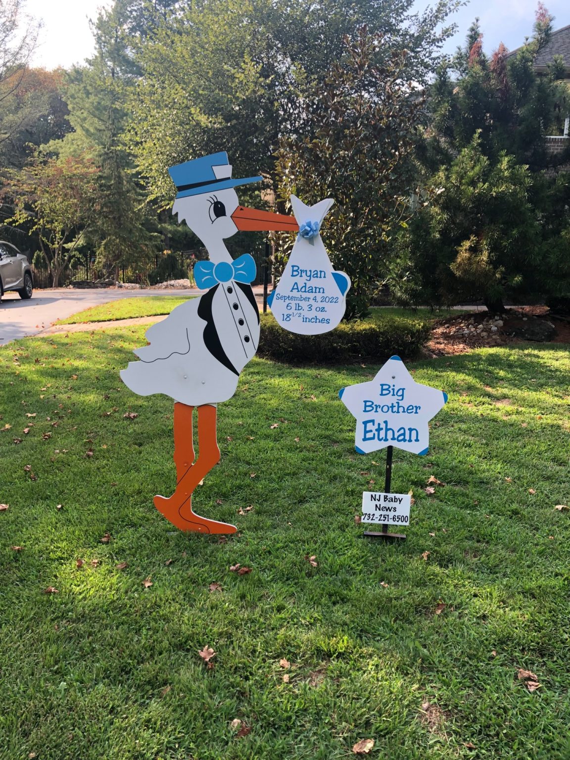 Welcome Baby Stork Matawan - NJ Baby News
