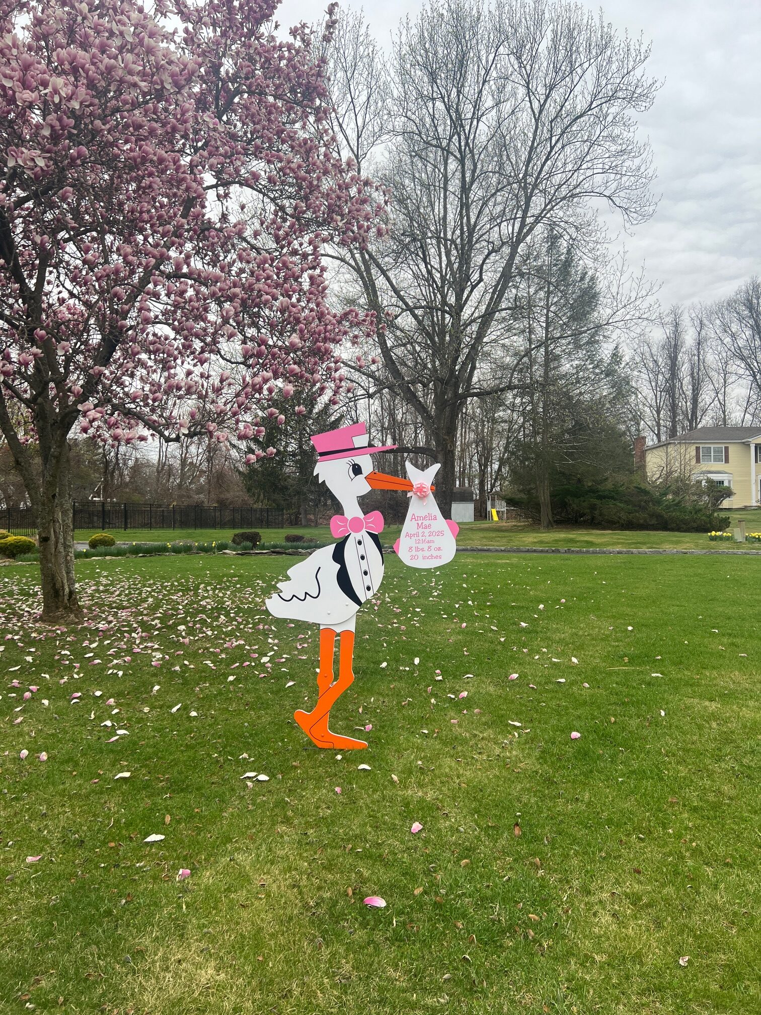 Baby Stork Rentals NJ - NJ Baby News